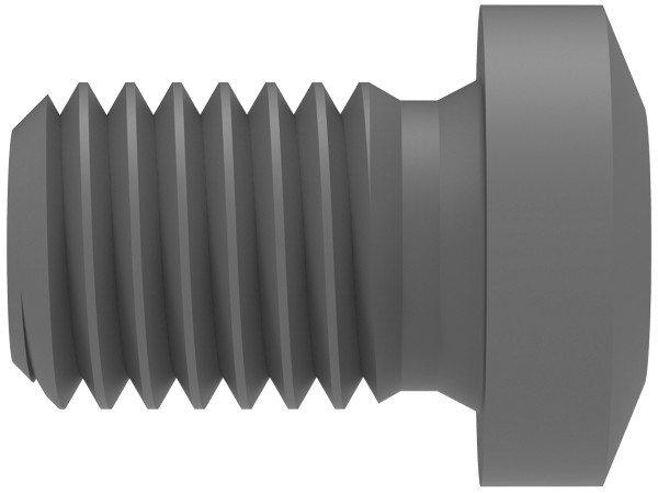 Clamping screw for guide pad | CERATIZIT